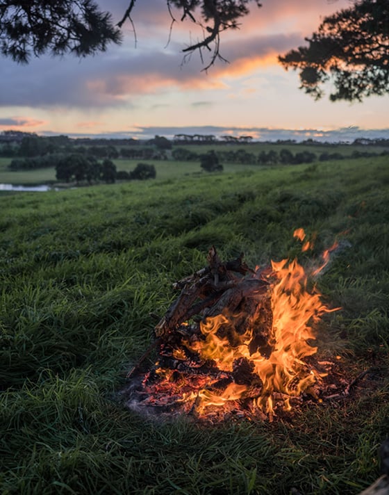 The Full Forward on Wool | Gunn News | Rodd & Gunn